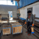 Wooden Pallets/Boxes Fumigation | Pest Free Services